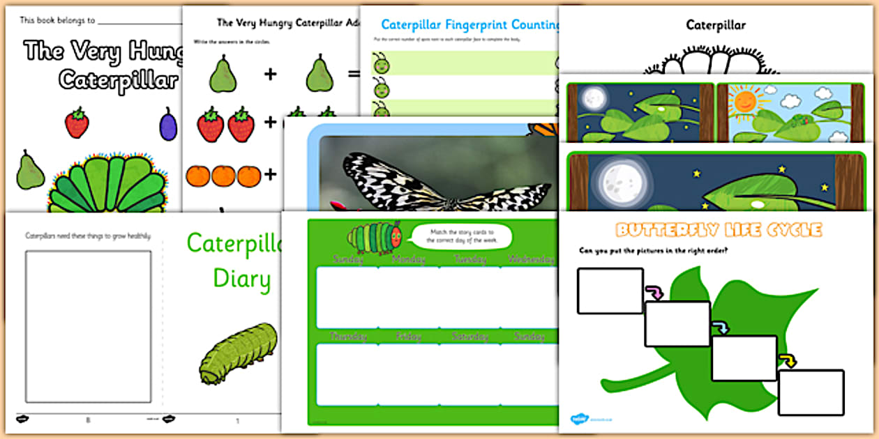 Top 10 Caterpillar Activity Pack to Support Teaching on The Very Hungry