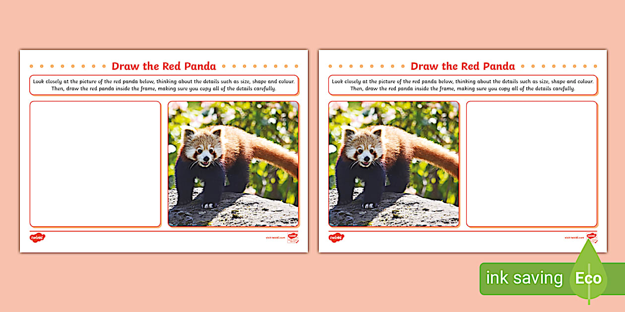 Draw the Red Panda Art Activity, Red Panda Drawing - Twinkl