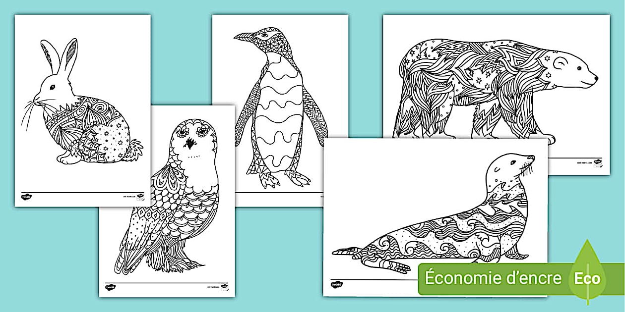 Les animaux polaires - coloriages (l'enseignant a fait)