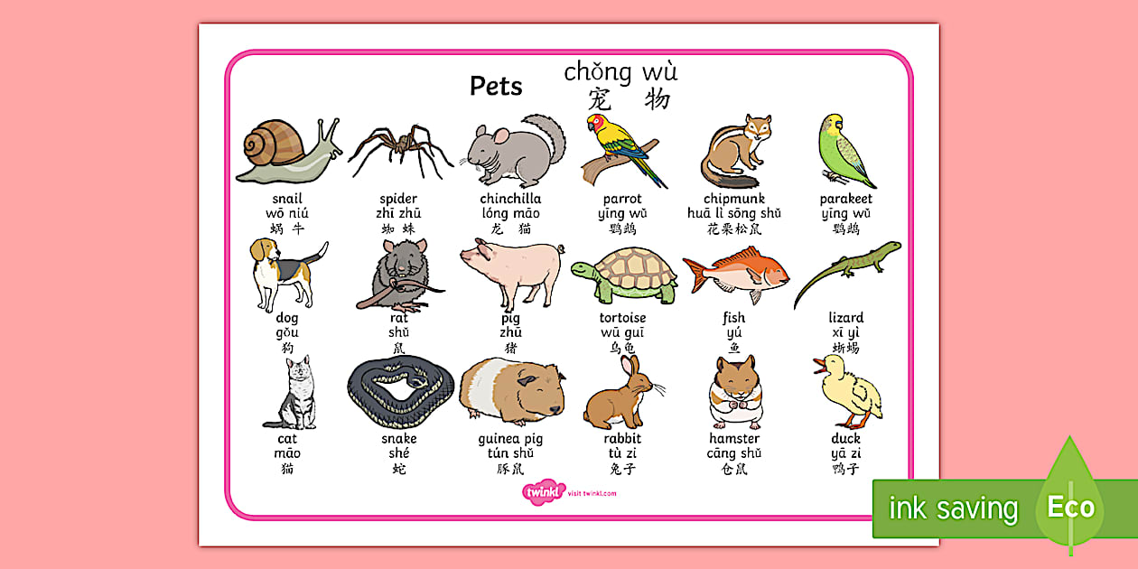 Pets Word Mat English/Mandarin Chinese/Pinyin - domestic animals, Pets Word