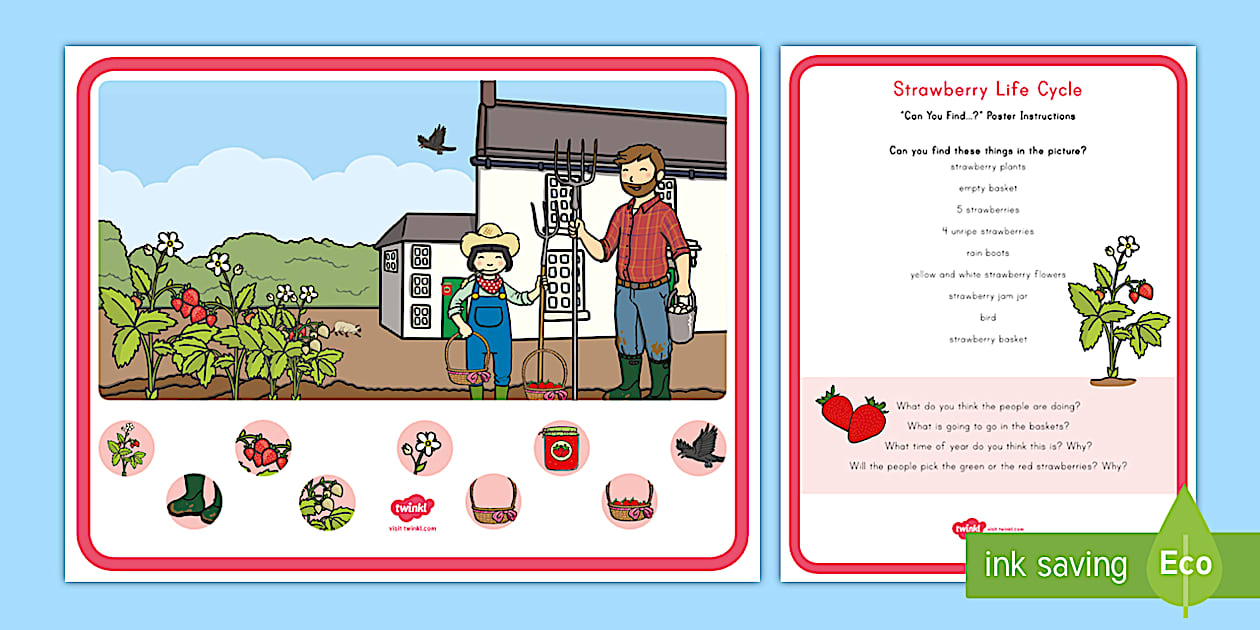 Strawberry Farm Can You Find? Picture Activity - Twinkl
