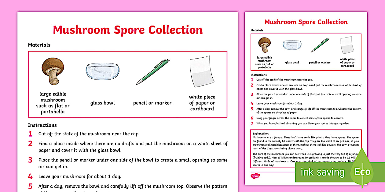 Mushroom Spores Science Experiment (teacher made) - Twinkl