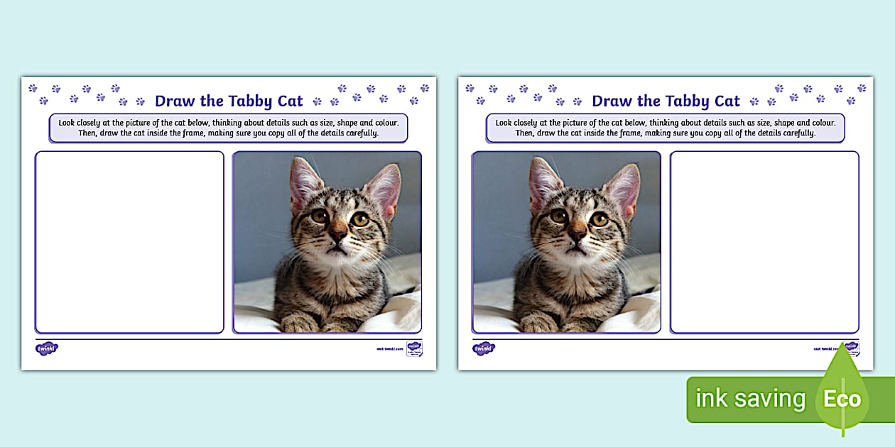 Draw the Tabby Cat Worksheet