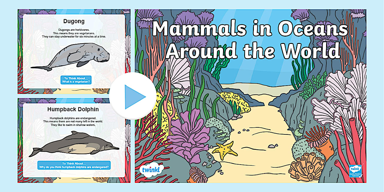 KS1 Mammals in Oceans Around the World Powerpoint - Twinkl