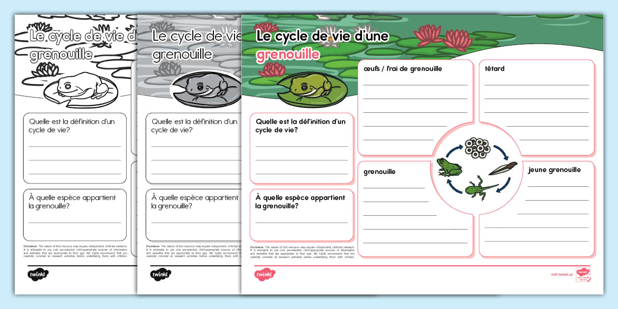 Fiche d'informations : Le cycle de vie d'une grenouille