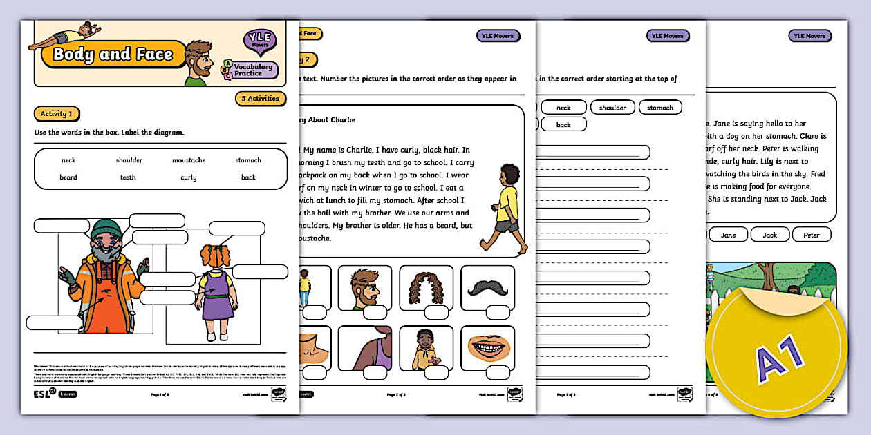 YLE Movers Body and Face Vocabulary Activity - Twinkl