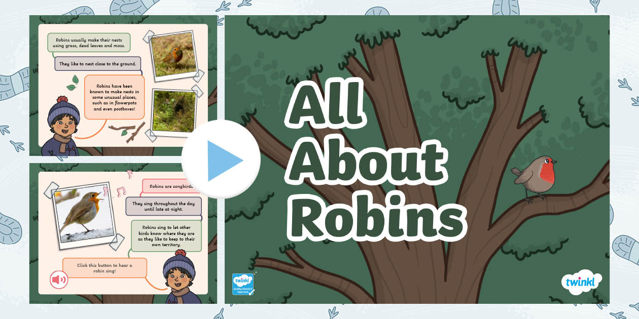 KS1 All About Robins PowerPoint (Teacher-Made) - Twinkl