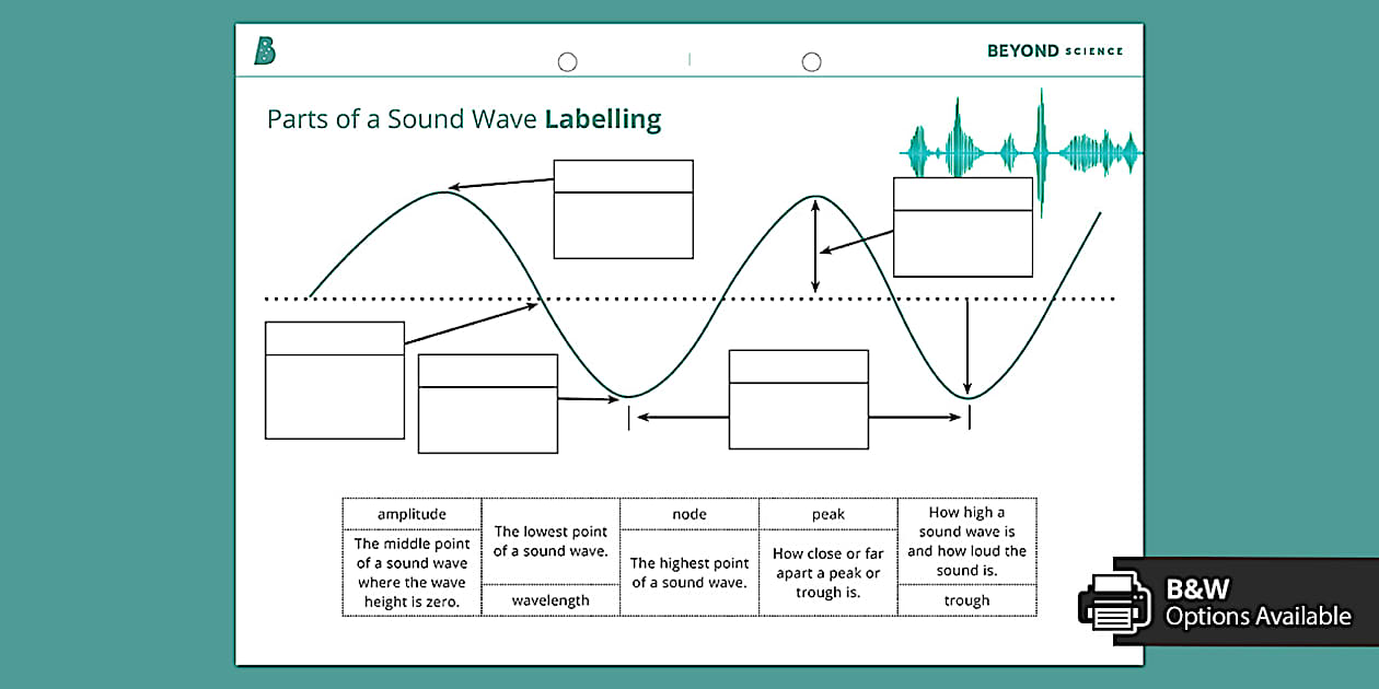 Parts of a Sound Wave Labelling Activity - Twinkl