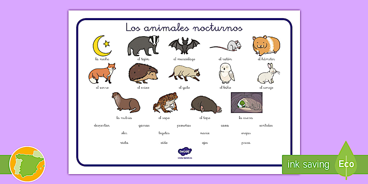 Tapiz de vocabulario: Los animales nocturnos | 2º de Primaria