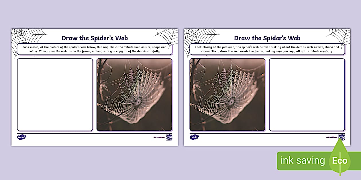 Draw the Spider's Web Art Activity,spiders web - Twinkl