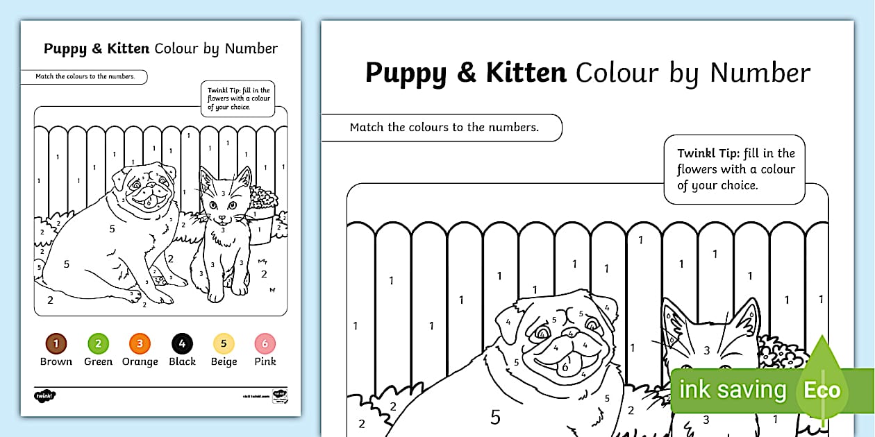 Puppy and Kitten Colour by Number - Twinkl