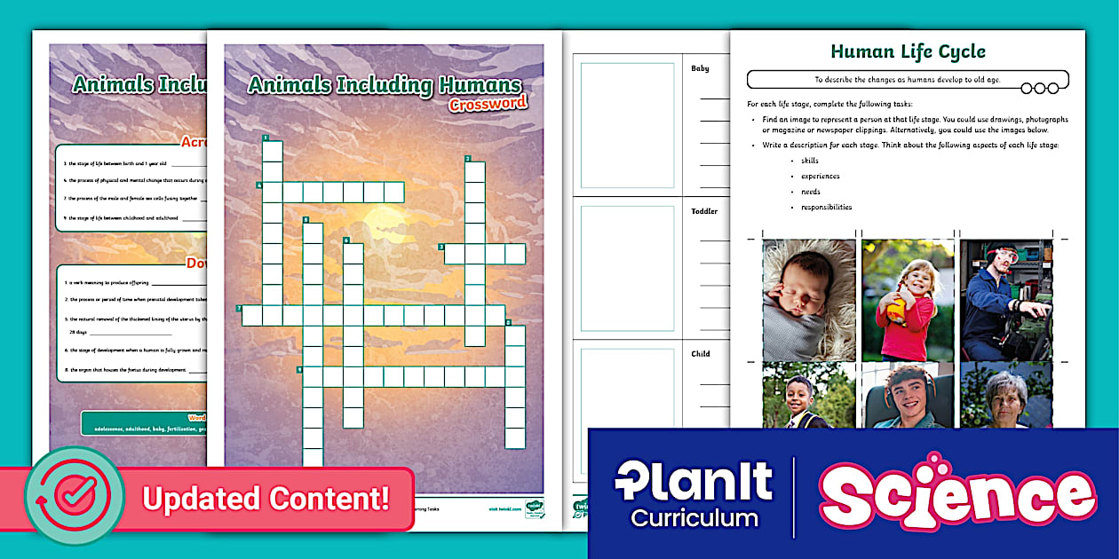 Science: Animals Including Humans Year 5: Home Learning Tasks
