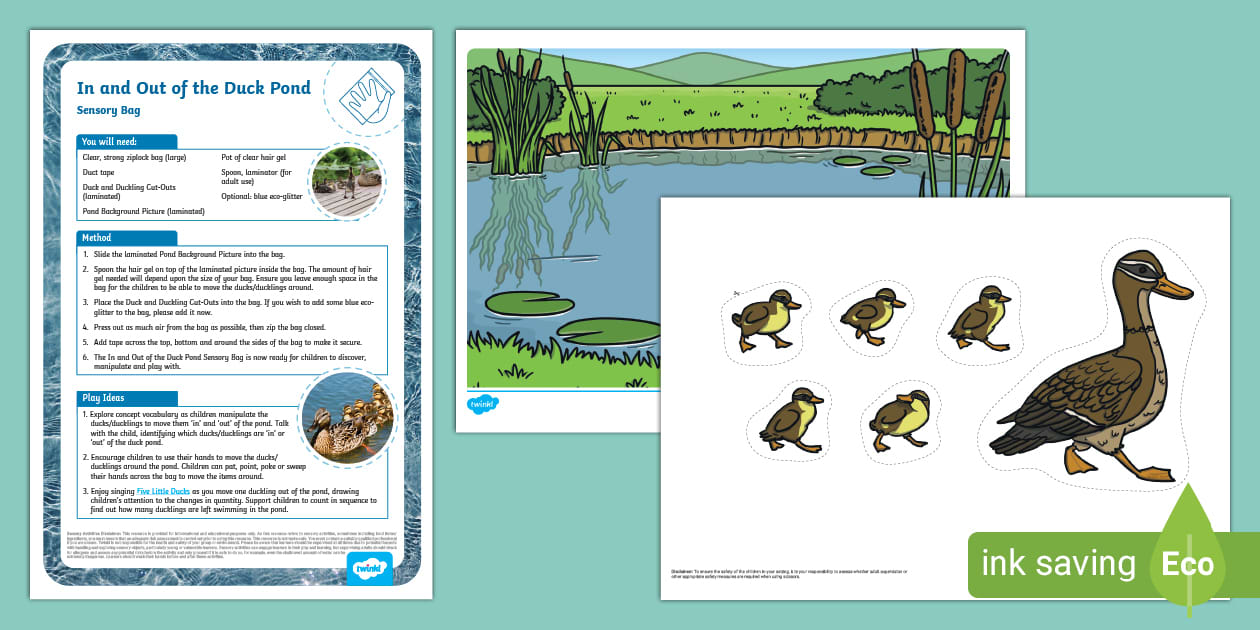 In and Out of the Duck Pond Sensory Bag | Early Concepts | Twinkl