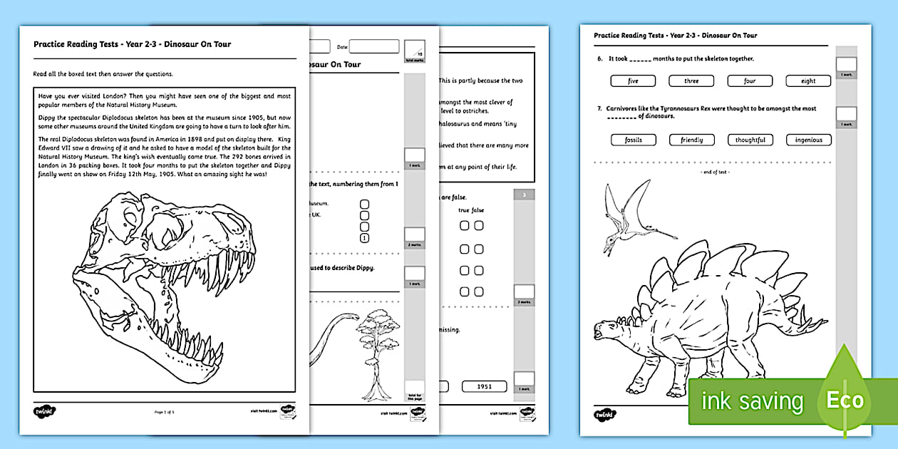 Practice Reading Tests for Year 2 and 3 Dinosaur on Tour