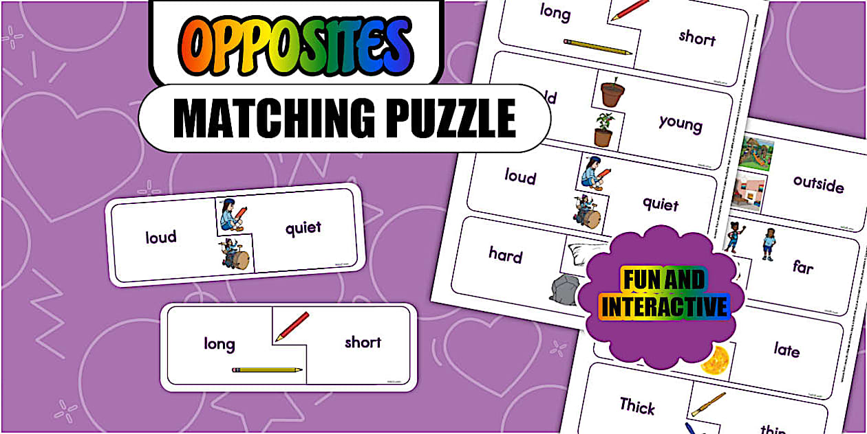 * NEW * Opposites Matching Puzzle