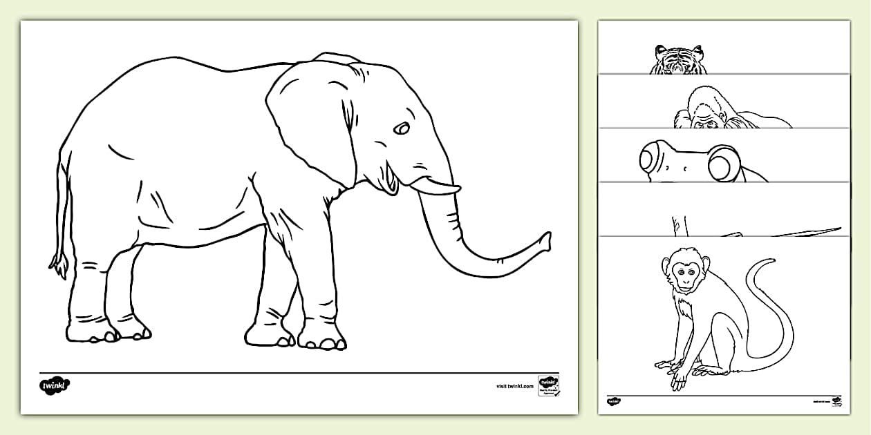 Jungle Animals Colouring Pages | Colouring Sheets - Twinkl