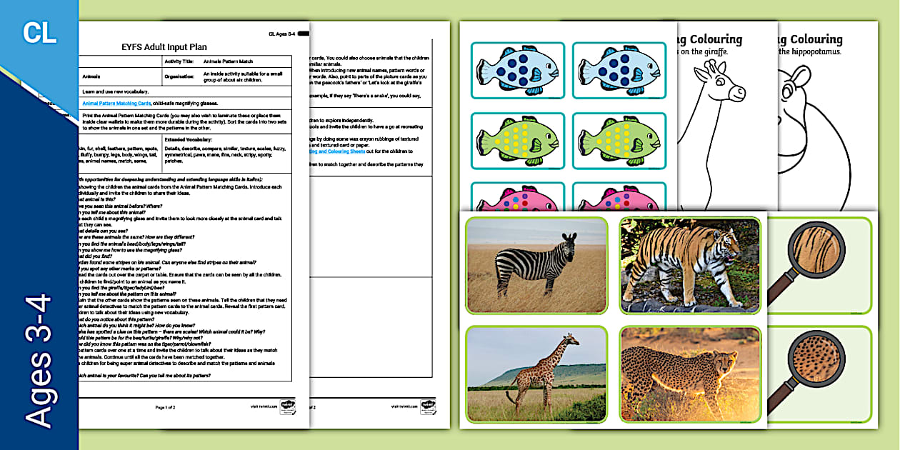 EYFS Animal Pattern Match Adult Input Plan and Resource Pack