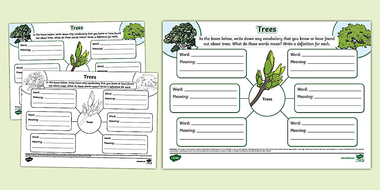 Trees Vocabulary Mind Map (teacher made) - Twinkl