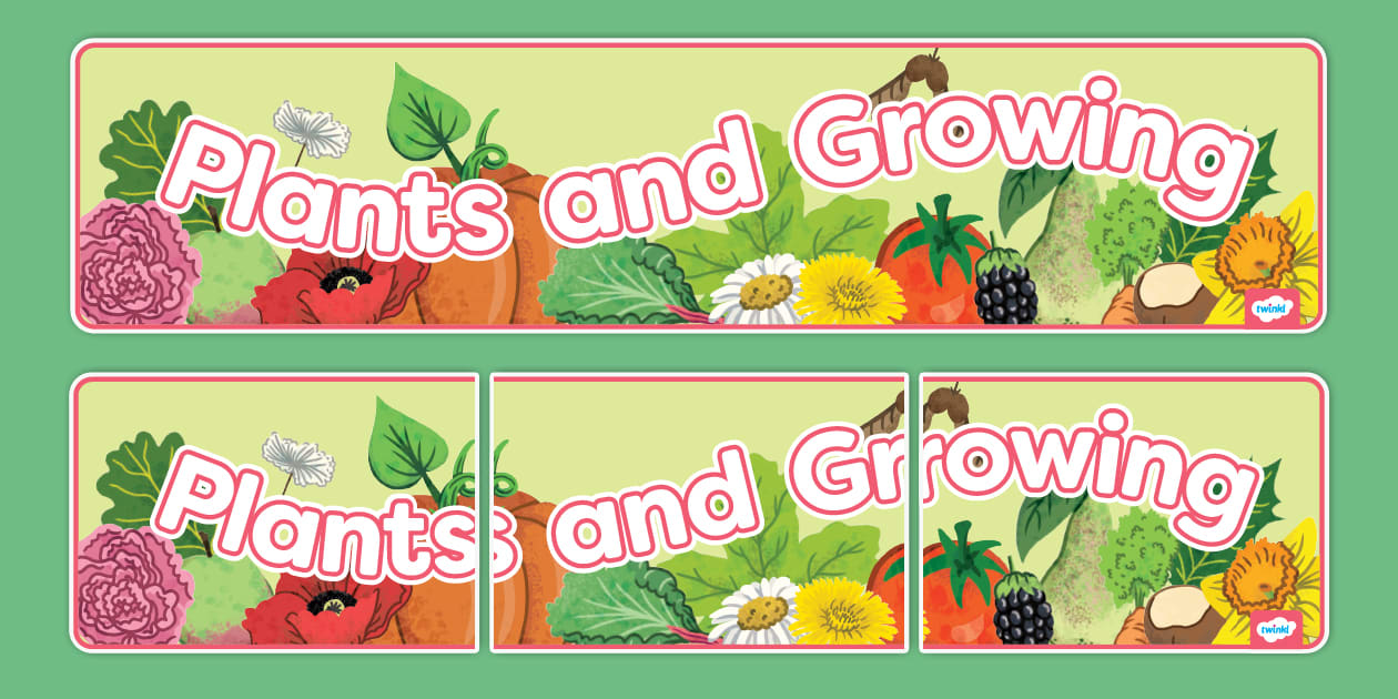 Plants and Growing Display Banner (teacher made) - Twinkl