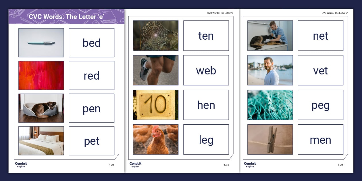 Reinforcing Sounds: CVC Word Letter 'e' Matching Activity