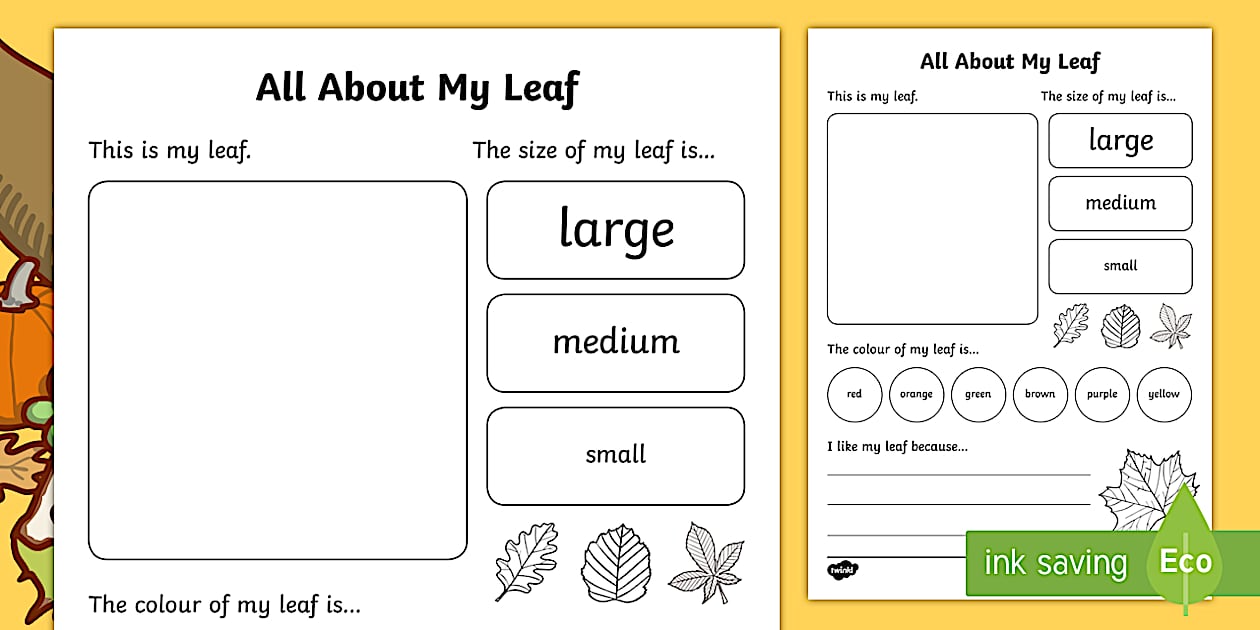 All About My Leaf Activity Worksheet - Primary Resources
