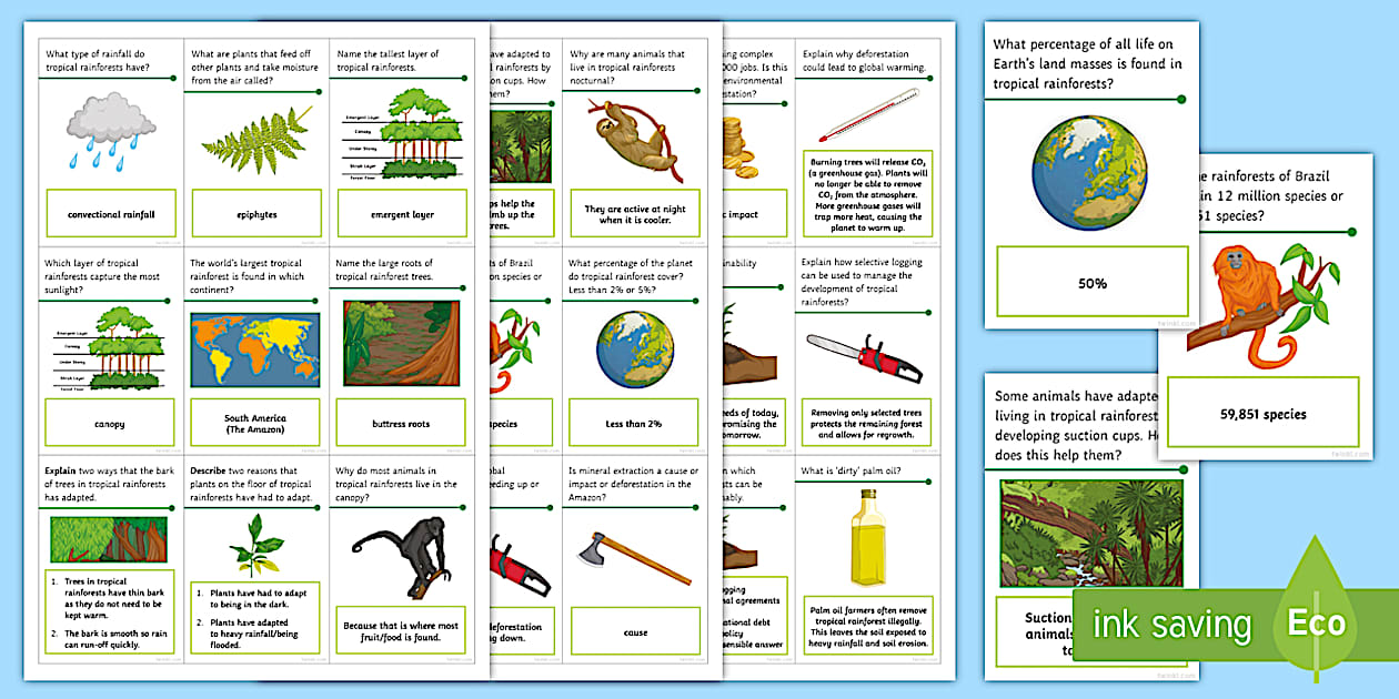 Tropical Rainforests: Quiz Quiz Trade Cards (teacher made)