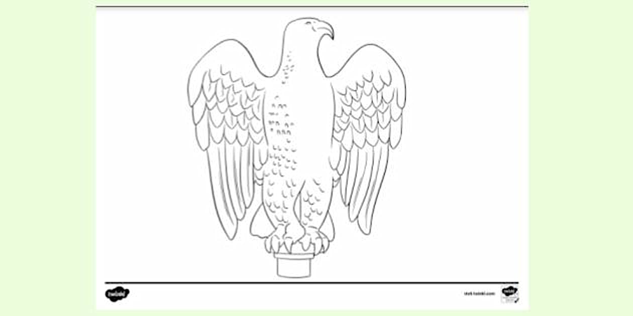 Eagle Colouring | Colouring Sheets (Teacher-Made) - Twinkl