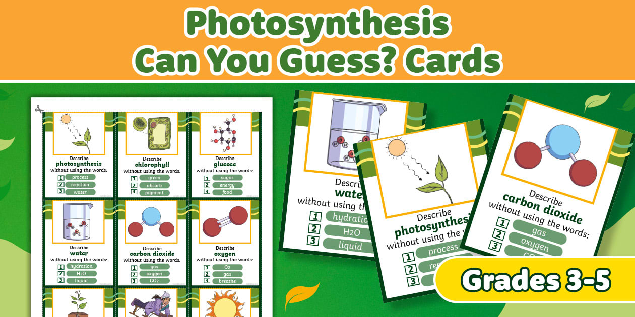 Photosynthesis Can You Guess? Cards for 3rd-5th Grade