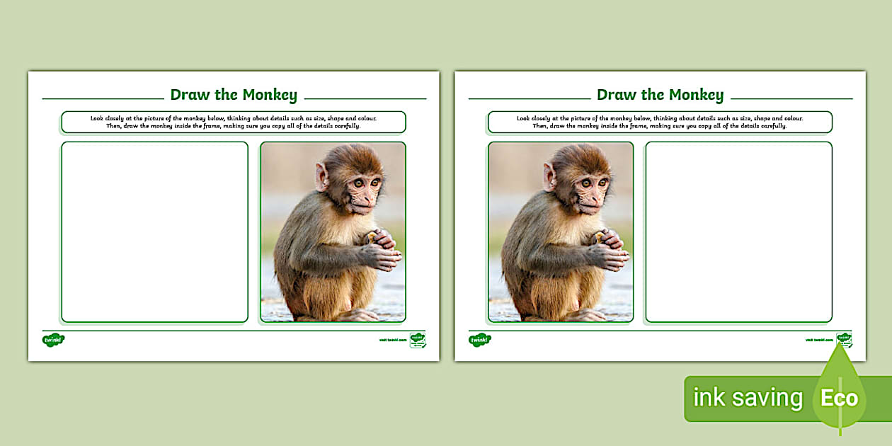 Draw the Monkey Art Activity, Monkey (teacher made) - Twinkl
