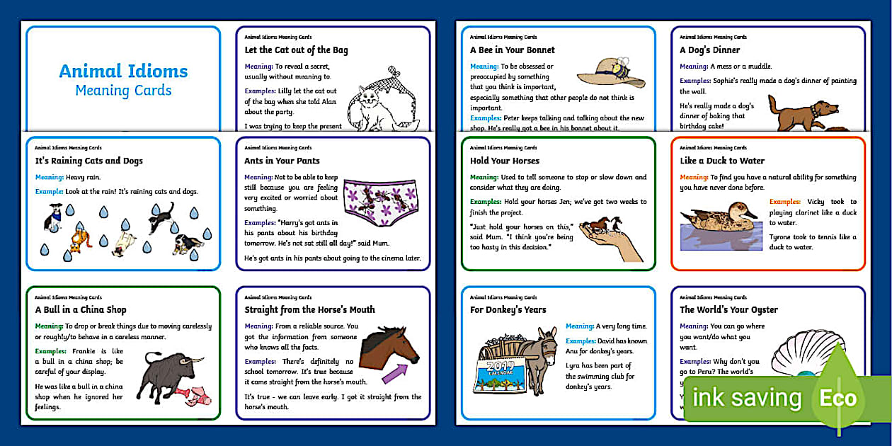 Animal Idioms Meaning Cards (teacher made) - Twinkl