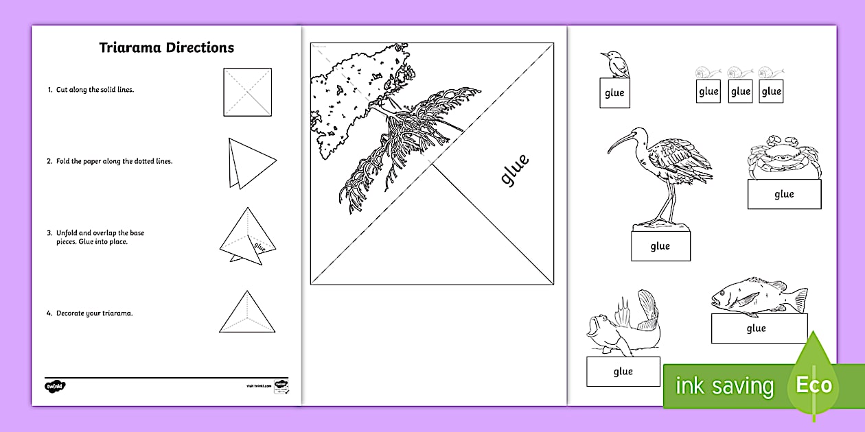 Mangrove Triarama | Animals in Wetlands Worksheet | Twinkl