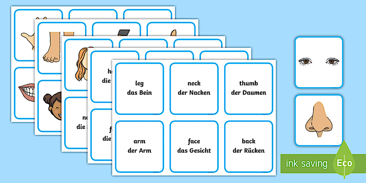 Parts of the Body Word and Picture Matching Cards English/German
