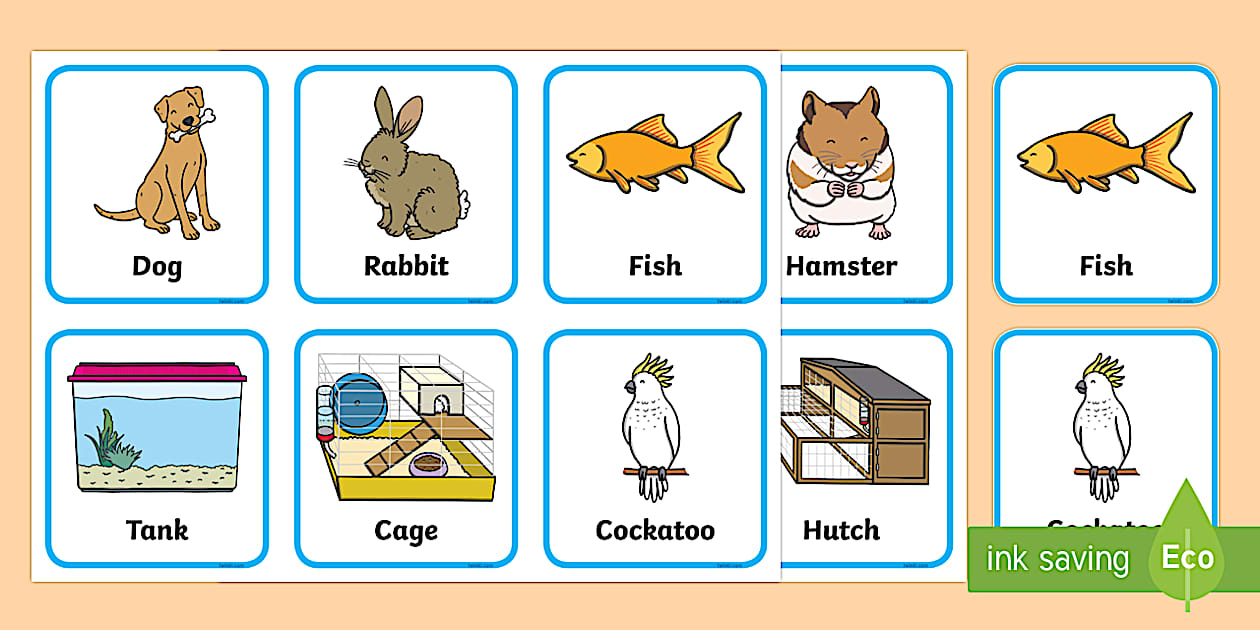 Pets and Where They Live Matching Cards (teacher made)