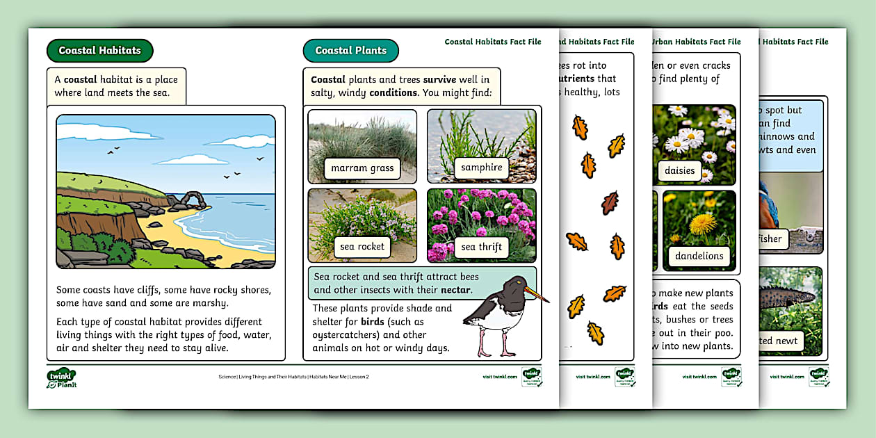 Pond, Coastal, Urban and Woodland Habitats Fact Files
