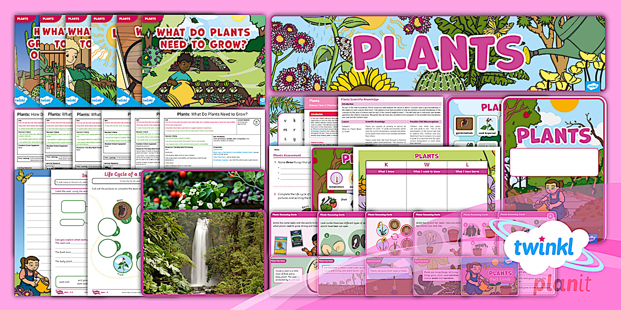 Science: Plants: Year 2 Unit Pack - Twinkl