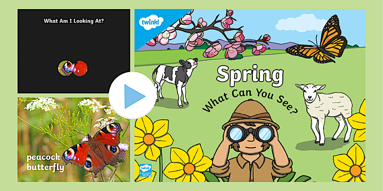Spring What Can You See? PowerPoint - Twinkl