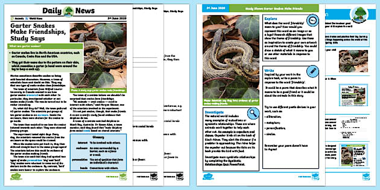 Snakes Make Friends, Study Says Daily Activity and Story Pack (ages 7-11)