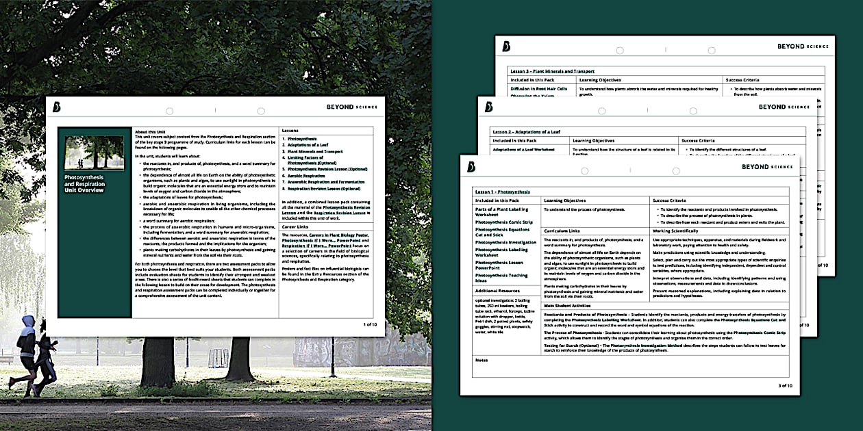 KS3 Photosynthesis and Respiration Unit Overview | Beyond