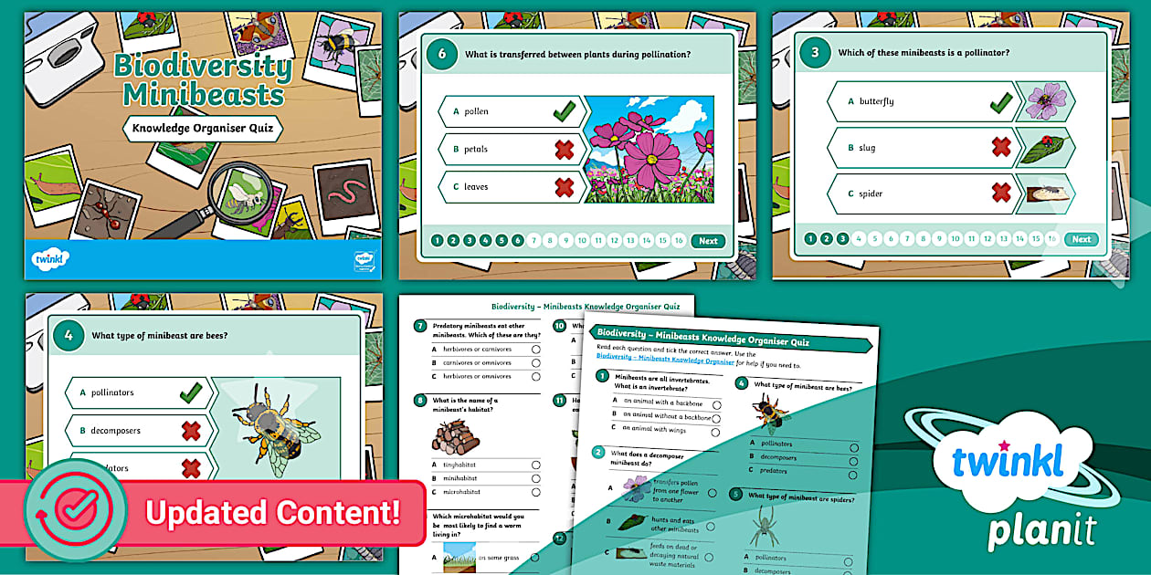 Biodiversity - Minibeasts: Knowledge Organiser Quiz Pack Y2