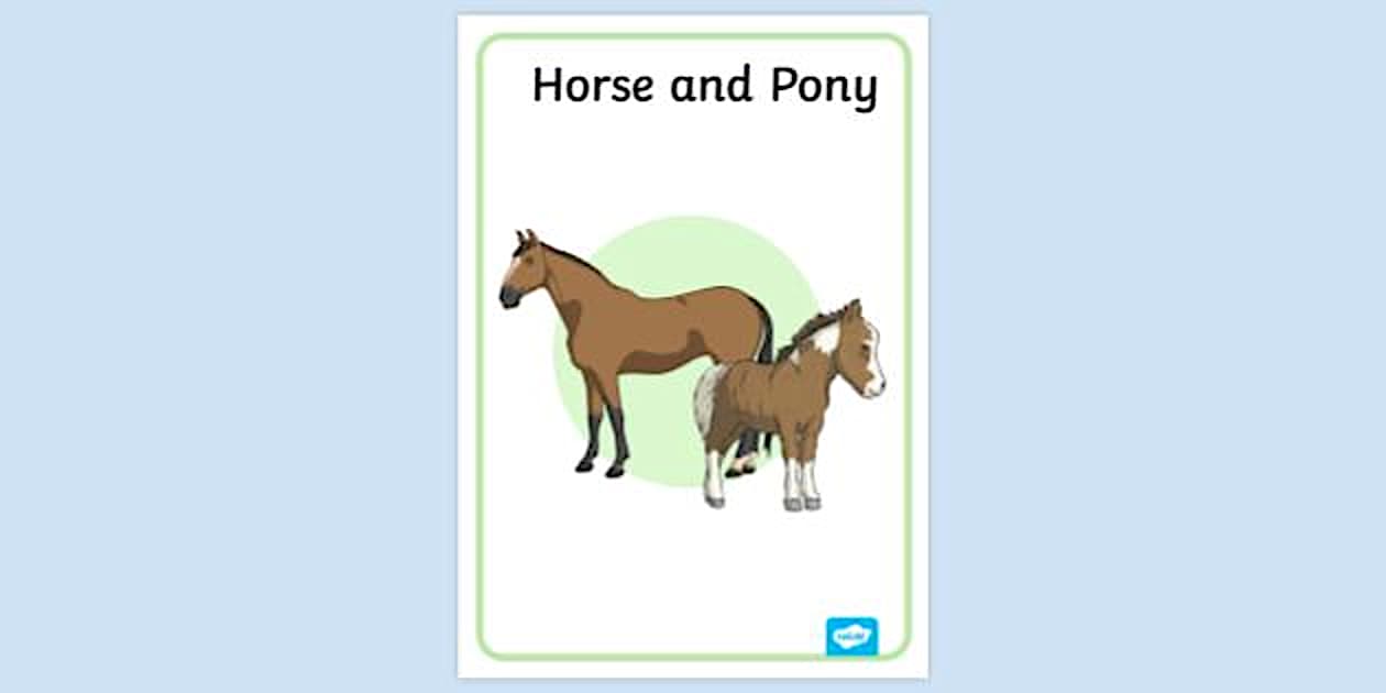 Horse and Pony Poster | Primary Resources | Twinkl - Twinkl