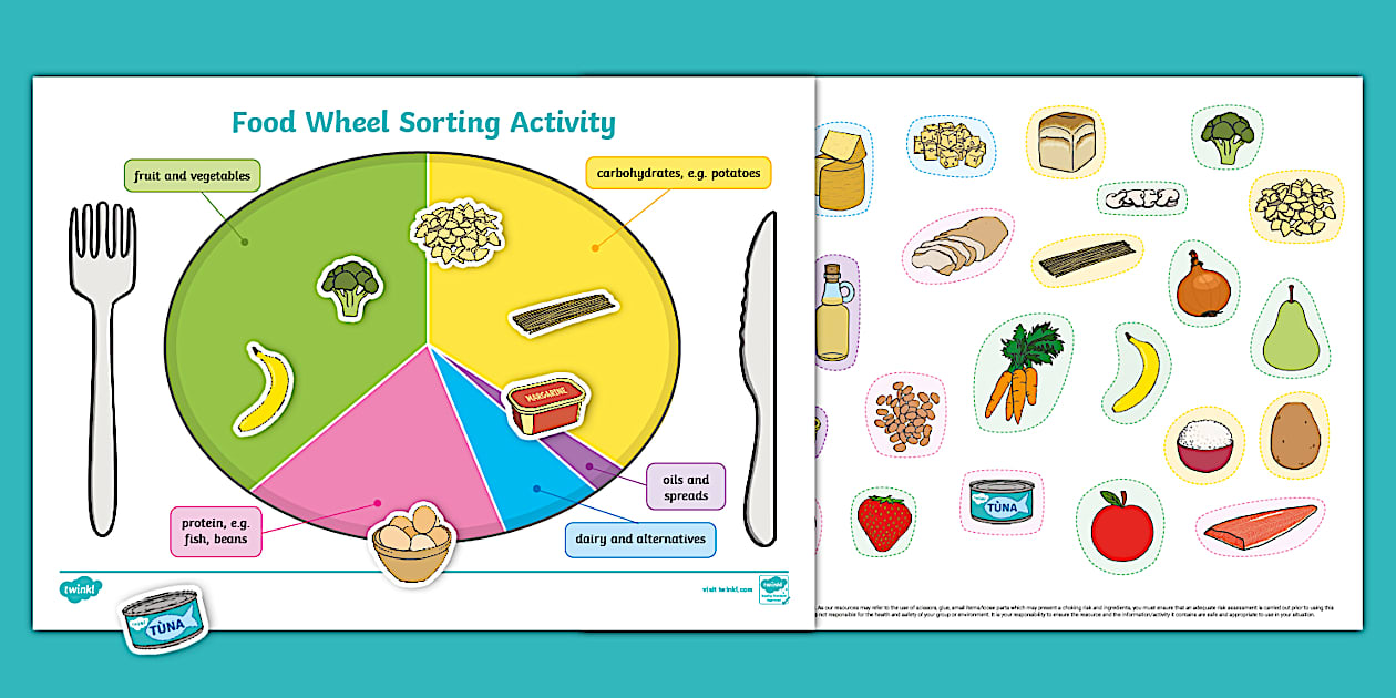Food Wheel Sorting Activity | Twinkl (teacher made) - Twinkl