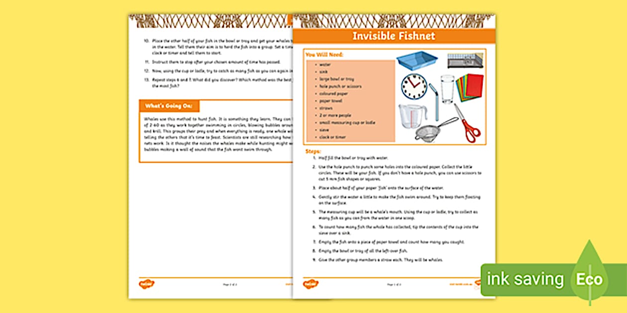 Invisible Whale Fishing Net Science Experiment - Twinkl