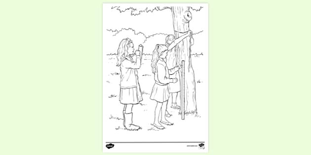 Outdoor Maths Colouring Sheet | Colouring Sheets - Twinkl