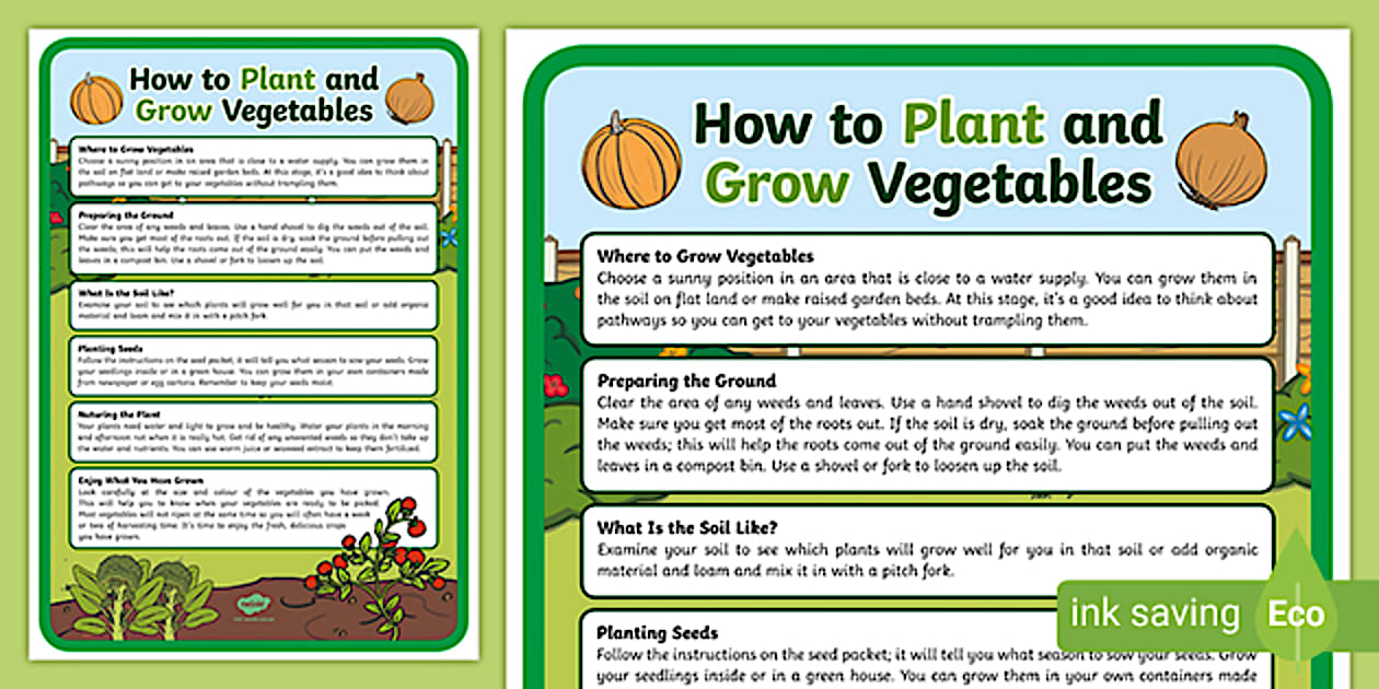 TAS How to Plant and Grow Vegetables Fact Sheet - Twinkl