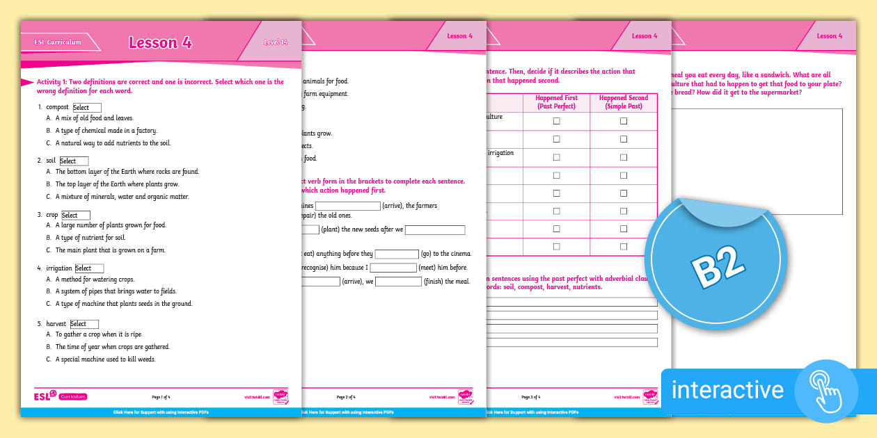 ESL Curriculum Level 14 Lesson 4 Interactive Activity Sheet