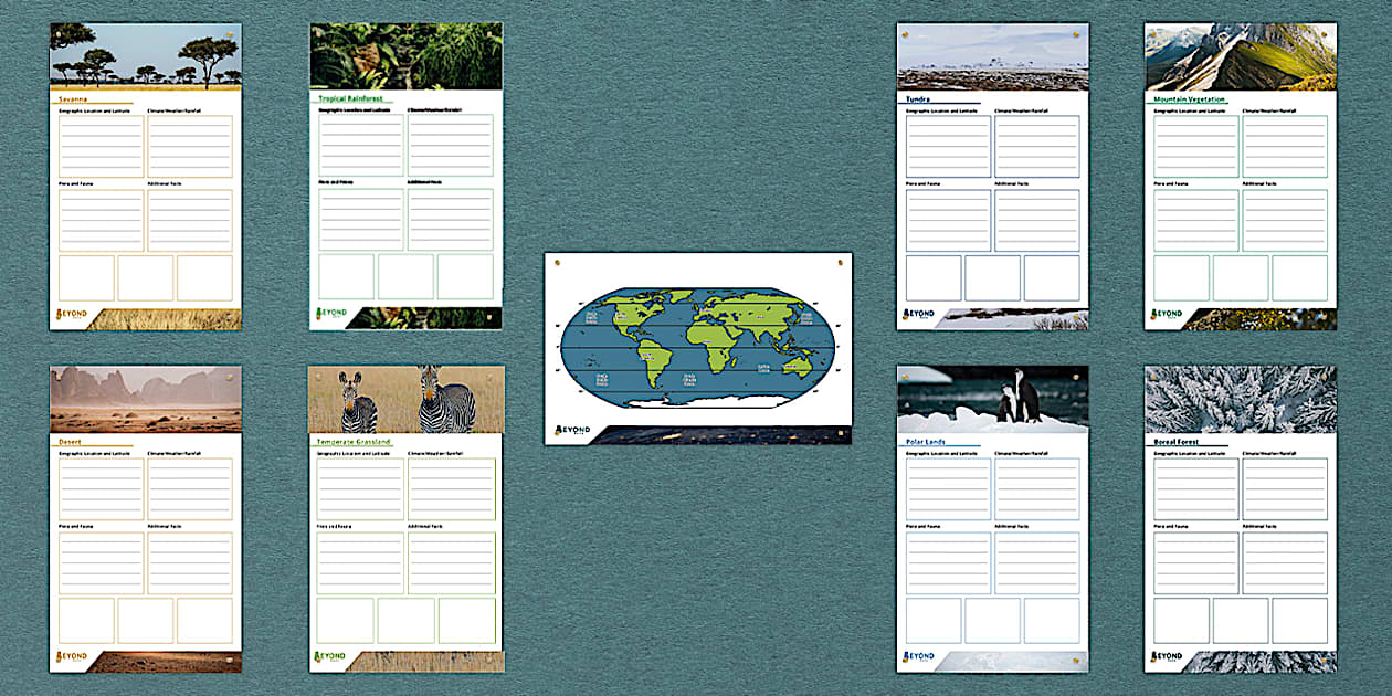 Year 9 Geography: Biomes Display Wall Introductory Activity