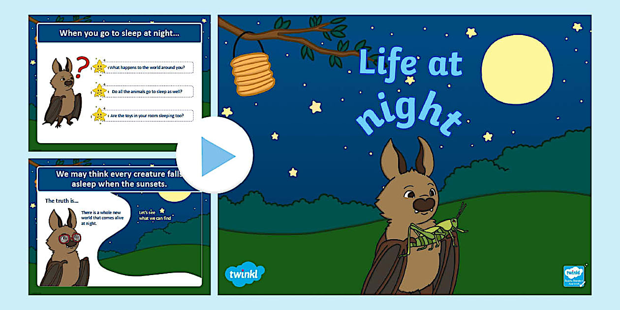 Gr 2: Life Skills: Life At Night: PowerPoint Presentation