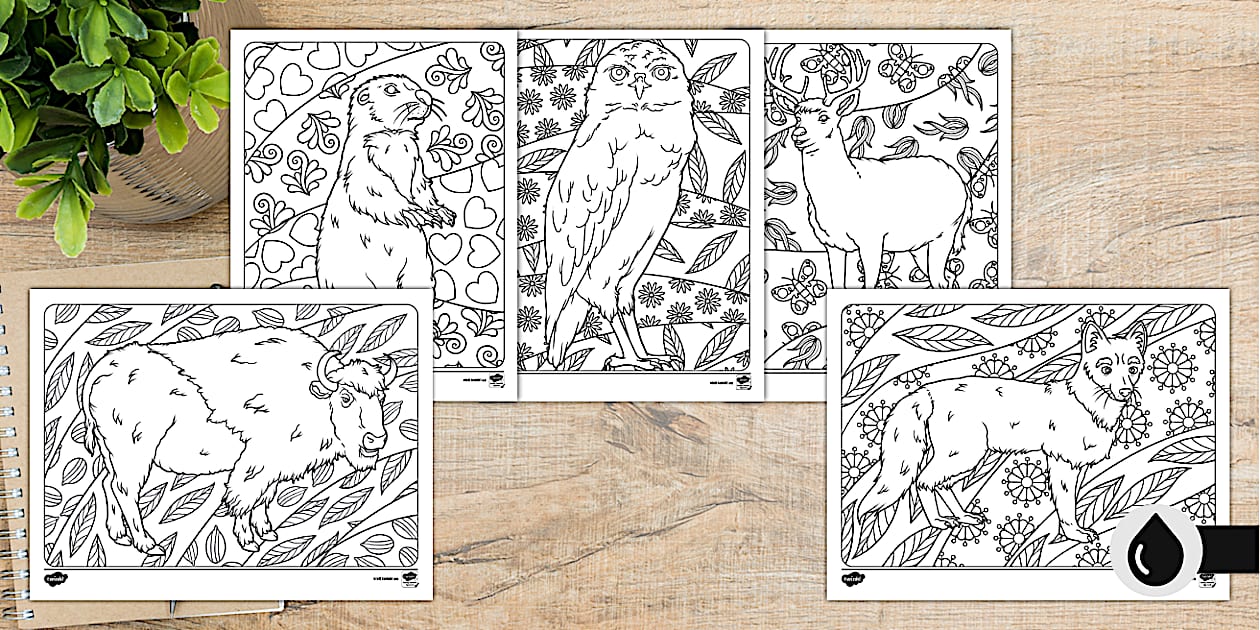 Prairie Animals Mindfulness Colouring Sheets - Twinkl