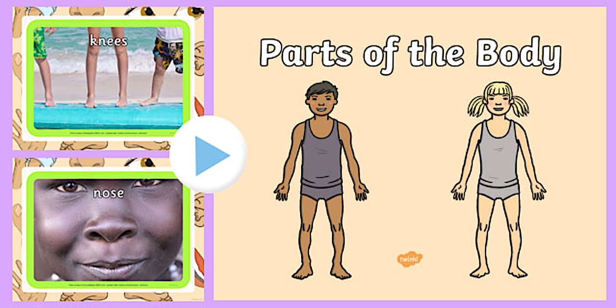 Parts of the Body PowerPoint - ESL Body Parts Vocabulary