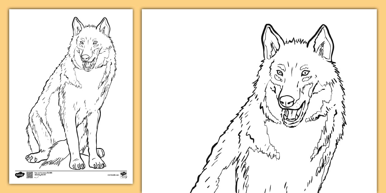 Printable Wolf Colouring Page | Colouring Sheets - Twinkl